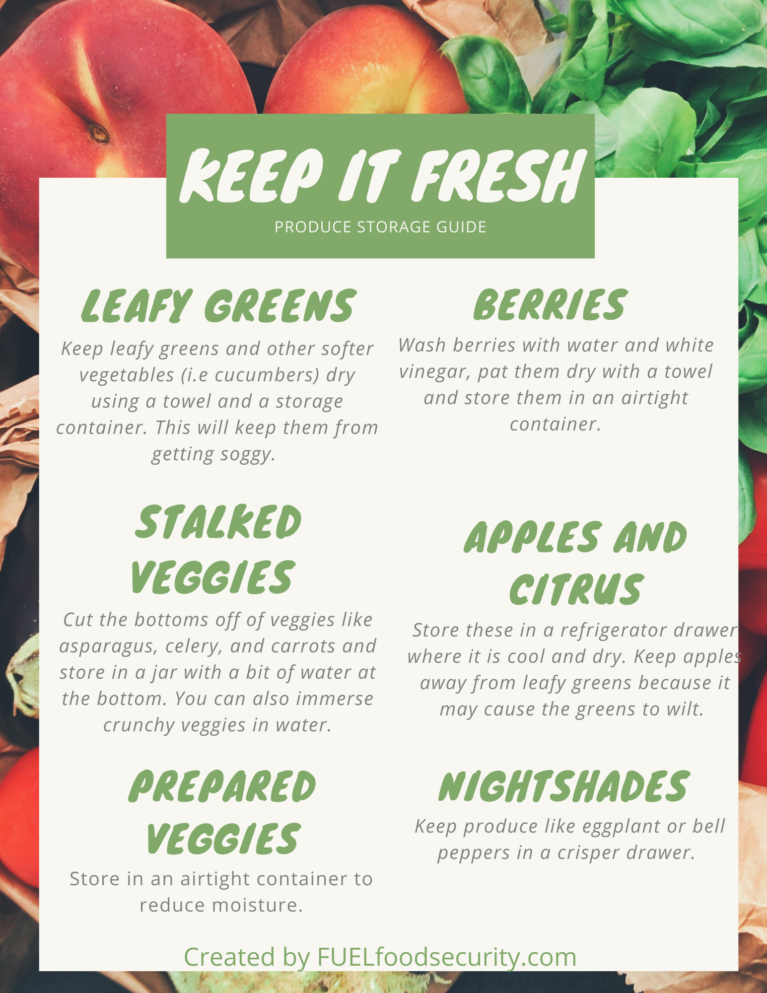 Keep Your Food Fresh – F.U.E.L